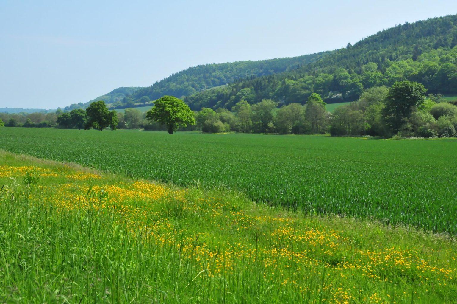 Explore the Estate, Cottage Holidays Shropshire, Activity Breaks UK
