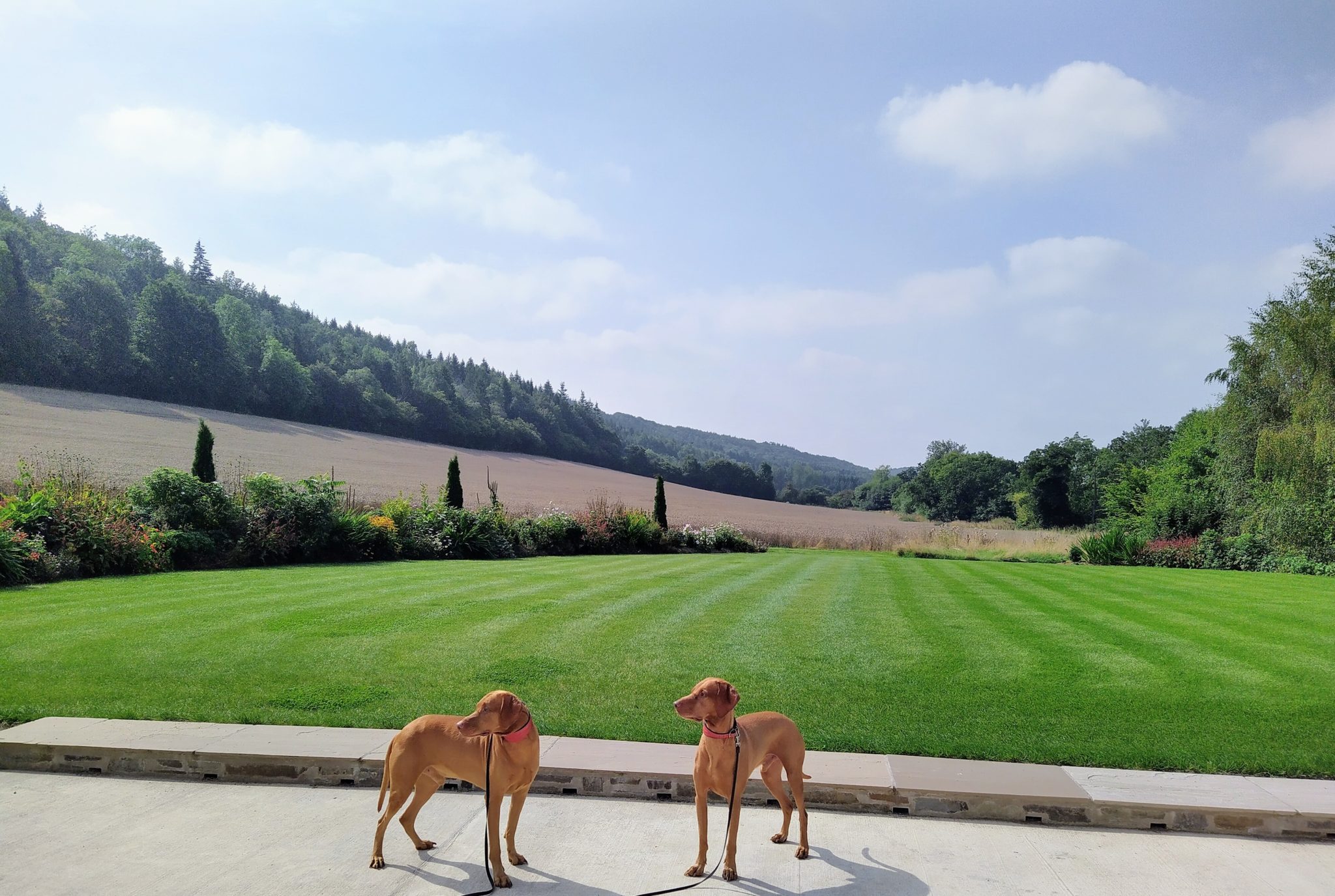 Firework-Free Zone | Dog Friendly Holiday Cottage Accommodation